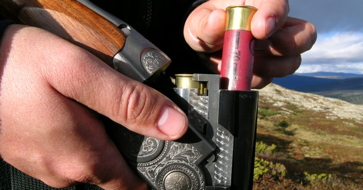 Velg riktig hagle | Statskog