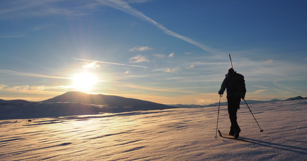 Narvik | Jaktperler | Statskog