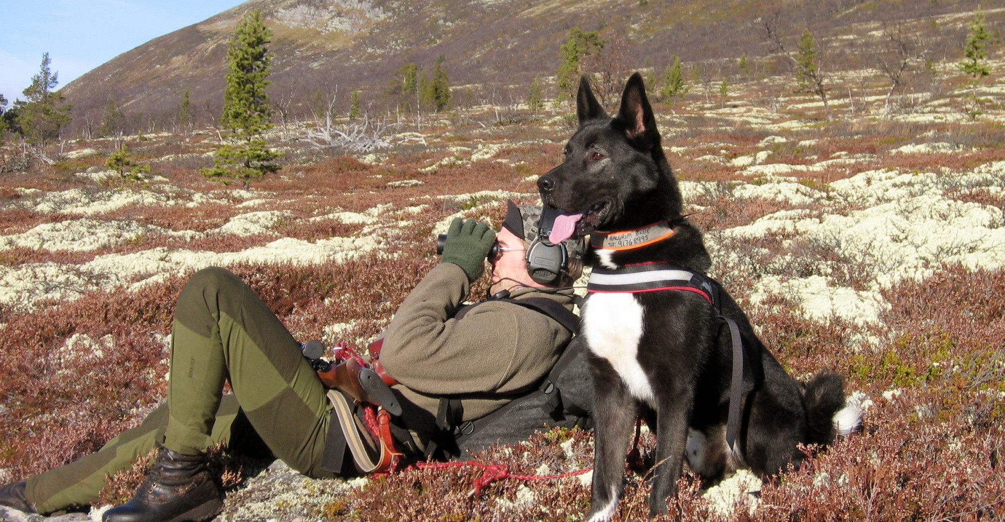 Milliardverdier i elgjakta - Nyheter - Statskog