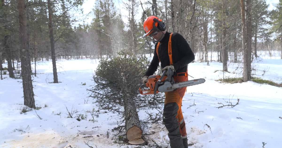 Med naturen som arbeidsplass: Bli med Sjur på jobb | Statskog