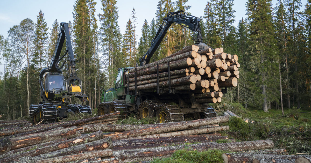 Vil sette ny standard for skogsdrift | Statskog