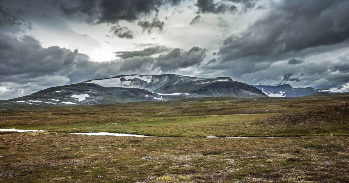 Holstad ny regionsjef i Statskog | Statskog