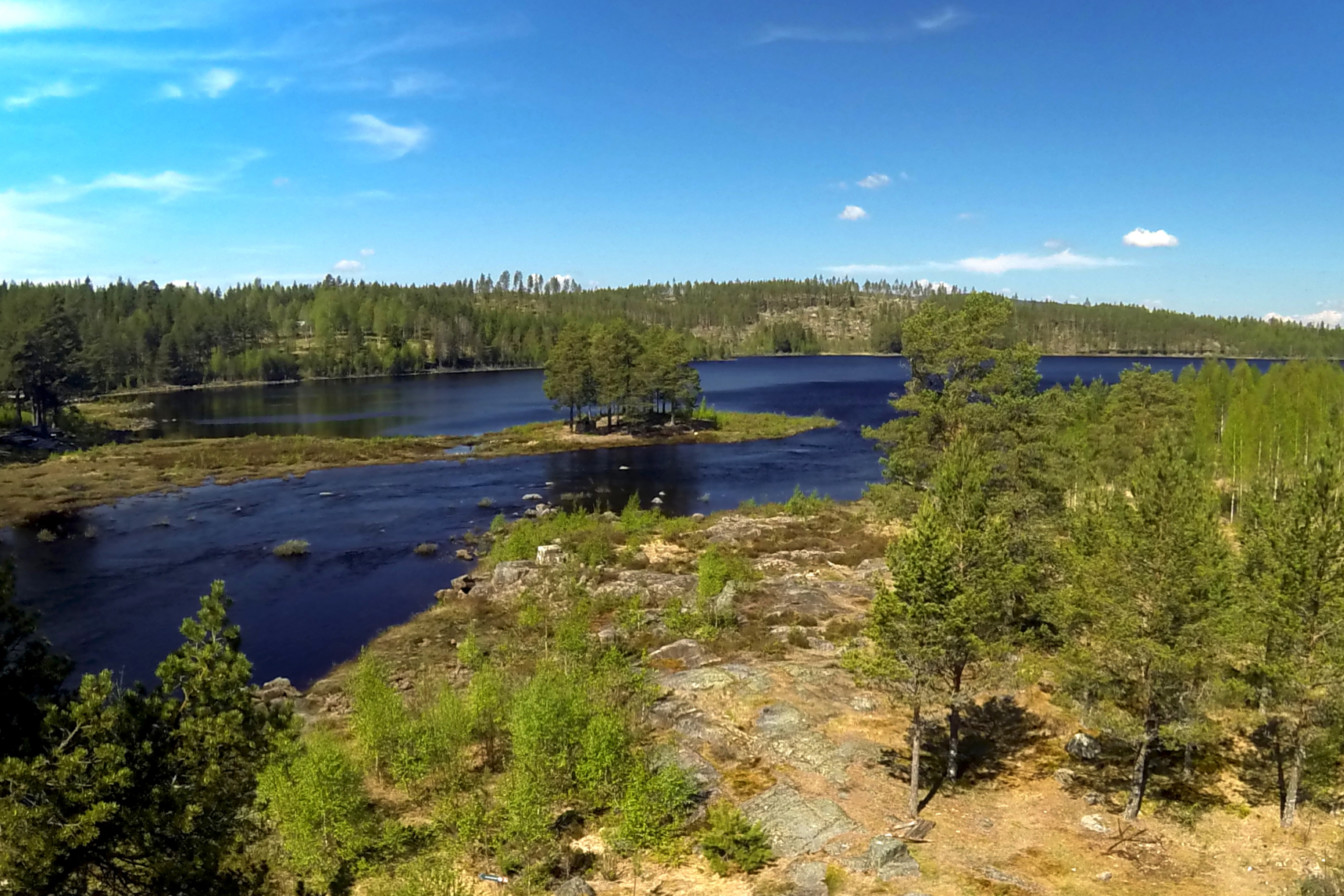Finnskogen - Turperler - Perler - Statskog