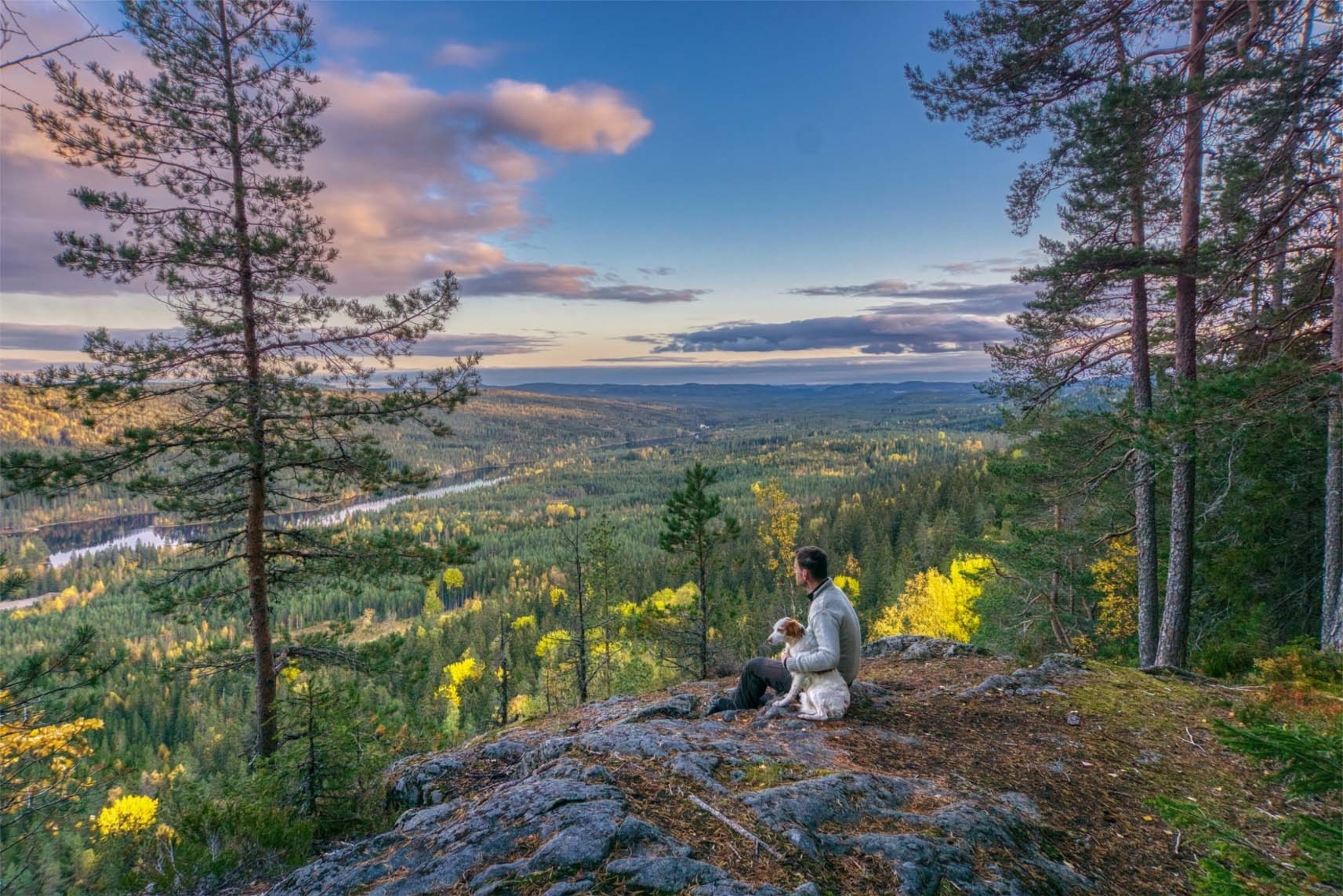 Finnskogen - Turperler - Perler - Statskog
